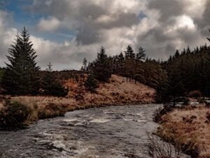 Our Development Solutions | Transform Performance International